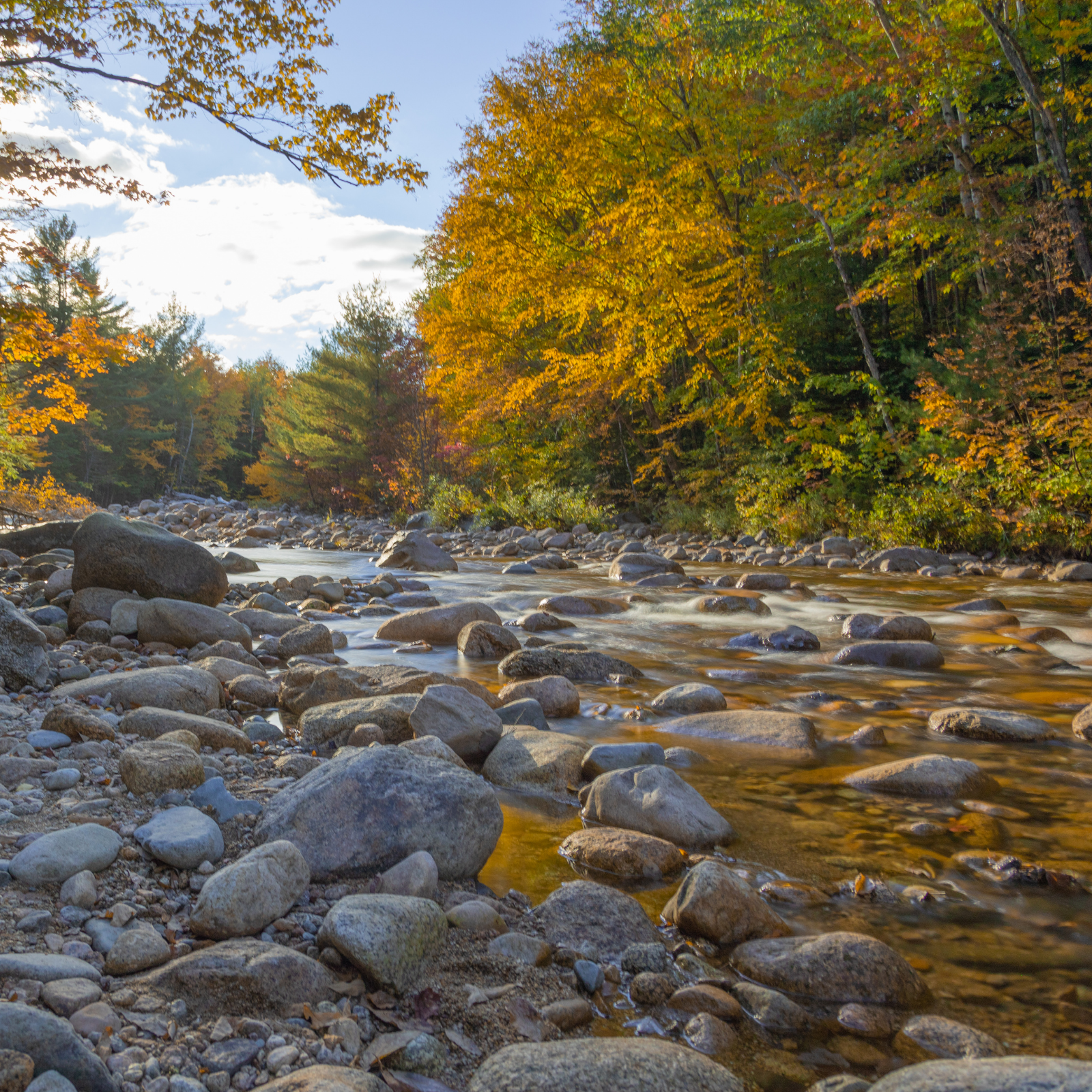Colorado Fly Fishing Reports | Guides Near Denver | Rise Beyond Fly Fishing